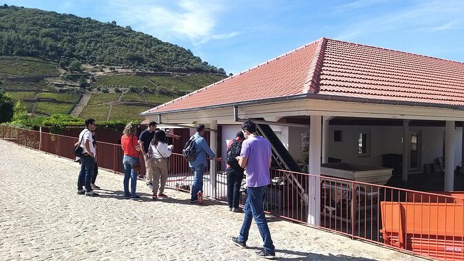 Private Tour to the rock art of Côa Park, Pinhão and Winery - Key Points