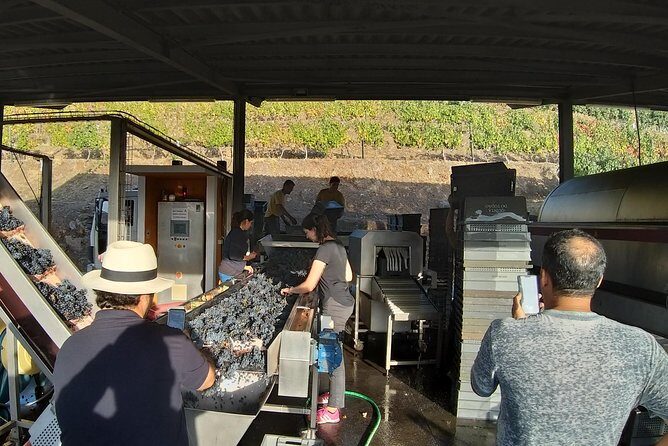 Private Tour to the rock art of Côa Park, Pinhão and Winery - Who Should Book This Tour?