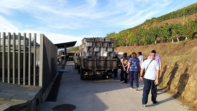Private Tour to the rock art of Côa Park, Pinhão and Winery - Final Thoughts