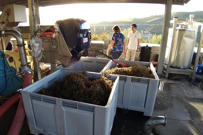 Private Tour to the rock art of Côa Park, Pinhão and Winery - FAQ