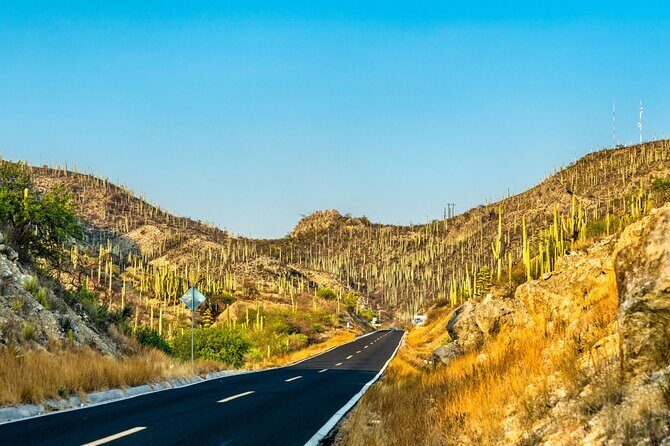 Private Tour to the Tehuacán Biosphere Reserve - Discovering the UNESCO Biosphere Reserve