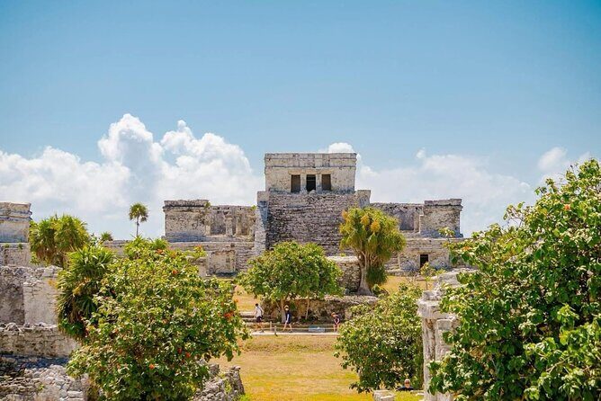 Private Tour to Tulum and Swimming with Turtles in Akumal - A Complete Guide to the Private Tulum and Turtle Swim Tour in Akumal