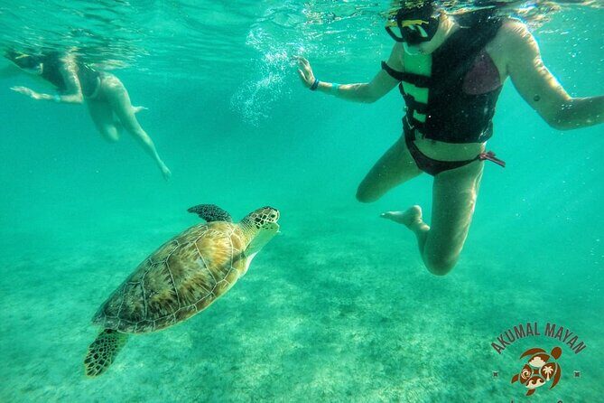 Private Tour to Tulum and Swimming with Turtles in Akumal - Whats Included and Whats Extra?