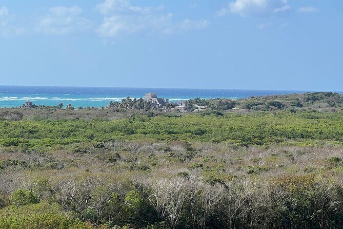 Private Tour to Tulum and Swimming with Turtles in Akumal - Timing and Practical Details