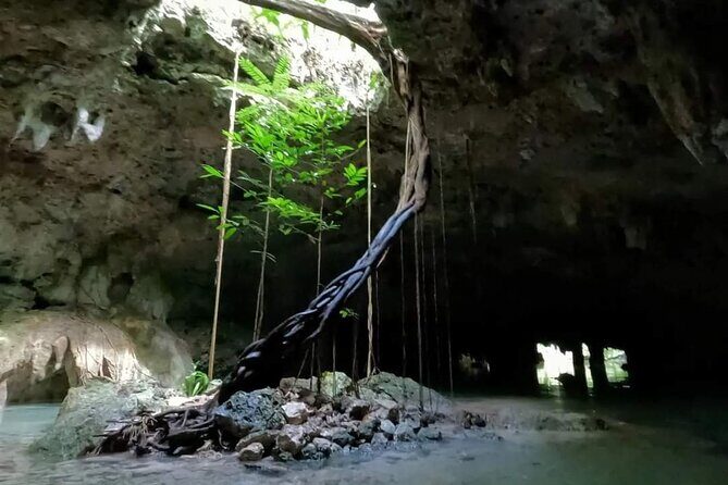 Private Tour to Tulum Cenotes Sac Actun - A Deep Dive into the Cenote Sac Actun Experience