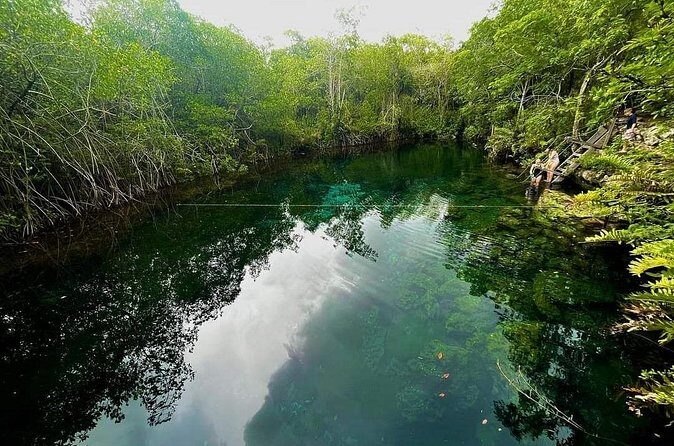 Private Tour to Tulum Cenotes Sac Actun - Authenticity and the Guide Experience