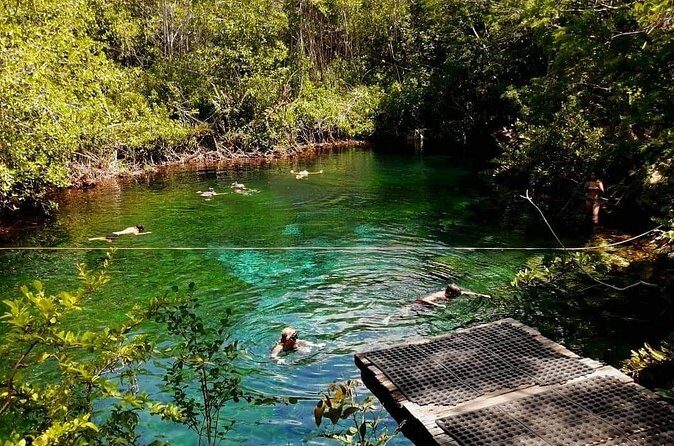 Private Tour to Tulum Cenotes Sac Actun - Who Should Consider This Tour?