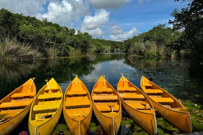 Private Tour to Tulum Site, Mayan EcoPark, Canoeing and Cenotes - Analyzing the Price and Value