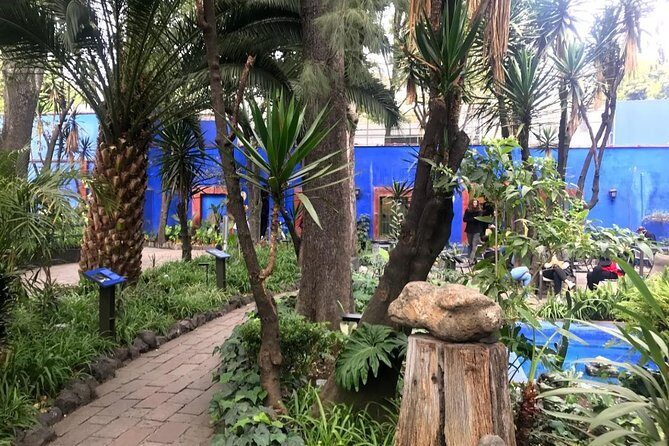 Private Tour to visit Coyoacan and Frida Kahlo Museum - Exploring Mexico Citys Artistic Heart: Private Tour to Coyoacan and Frida Kahlo Museum