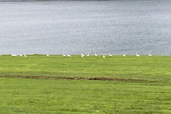 Private tour to waterfalls, neighboring villages, scenic views - Transport and Group Size