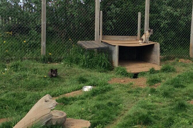 Private tour to waterfalls, neighboring villages, scenic views - FAQ