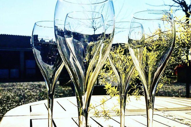 Private Tour: Top Three Organic Wineries & Local Lunch Included - What the Experience Means for You