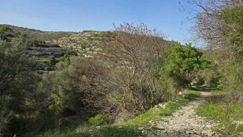 PRIVATE TOUR | Troodos Mountain: Waterfall, Villages & Lunch - FAQs