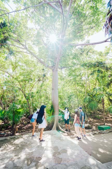 Private Tour: Tulum Ruins, Natural Waterways Float & Tacos - Deep Dive into the Tulum Private Tour Experience