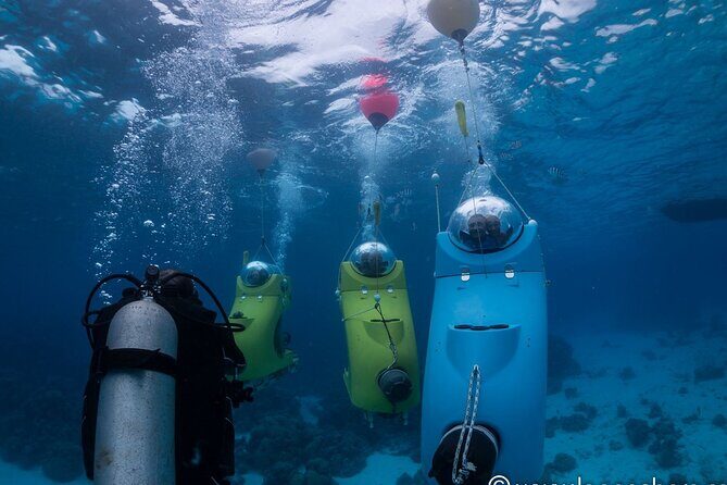 Private Tour: Underwater Scooter Bora Bora - Practical Details That Matter