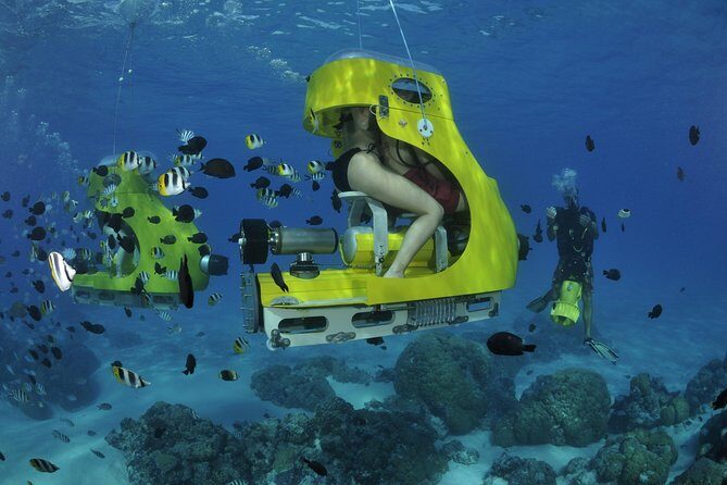 Private Tour: Underwater Scooter Bora Bora - Why This Tour Might Be Your Best Choice