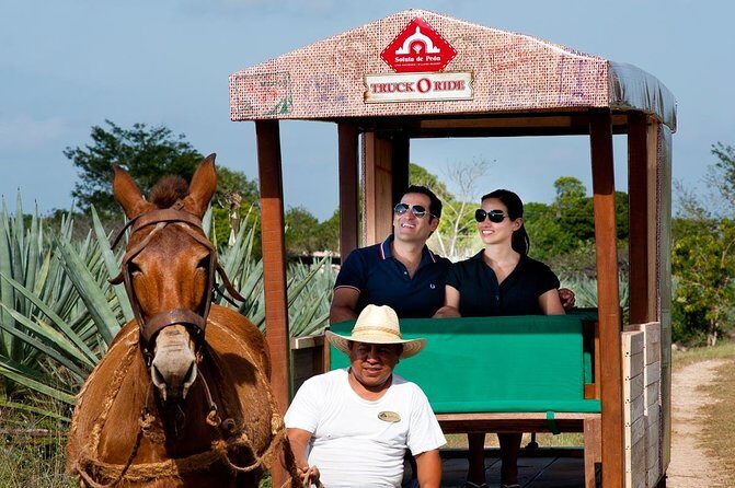 Private Tour: Uxmal & Hacienda Sotuta de Peon by Yucatan Concierge - Value and Who Its Best For