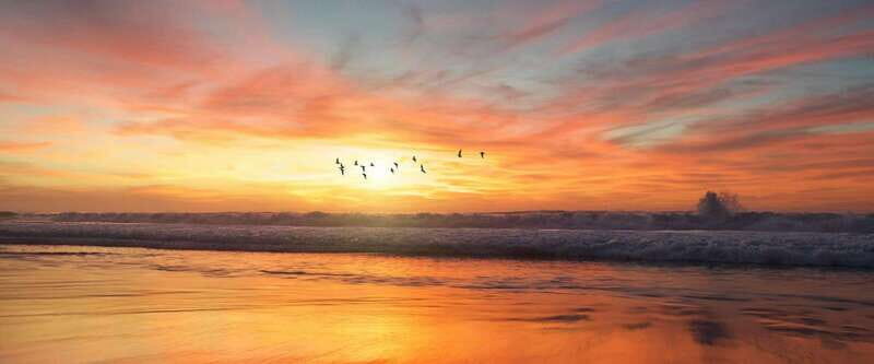 Private tour Uxmal Ruins, Chocolate Museum plus Cenote - Discovering Uxmal: A Window into Mayan Architecture