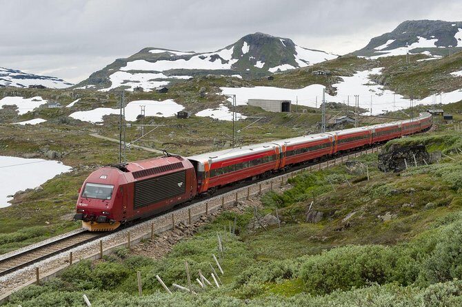 Private tour - Viking Village, Nærøyfjord Cruise & Flåm Railway - The Highlights in Detail