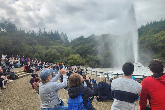 Private Tour WaiOtapu & Huka Falls & Blue springs from Auckland - What We Loved About This Tour