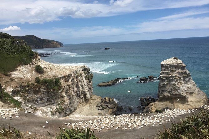 Private Tour: Waitomo Caves Day Trip from Auckland - The Journey and Itinerary: What to Expect