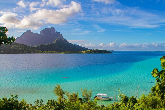 Private Tour Whale Watching BORA-BORA - Who Would Enjoy This Tour?