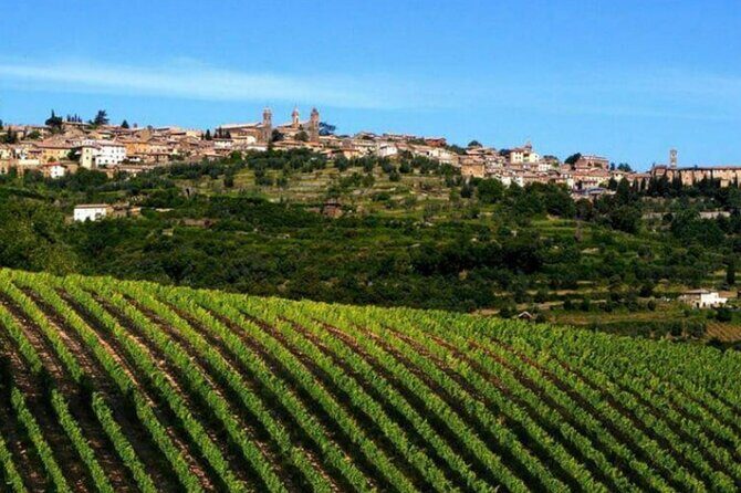 Private tour Wine and cheese a perfect combinations val 'Orcia - Exploring Tuscany’s Best: A Deep Dive into the Private Wine and Cheese Tour in Val dOrcia
