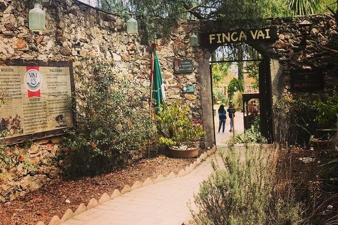 Private Tour: Wine and Cheese Route from CDMX (All included) - Potential Drawbacks & Tips