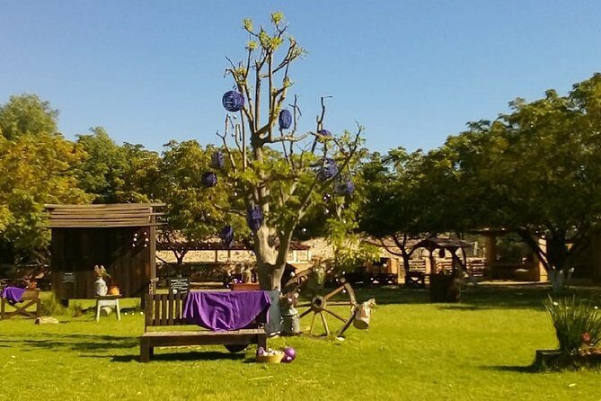 Private Tour: Wine and Cheese Route from CDMX (All included) - FAQ