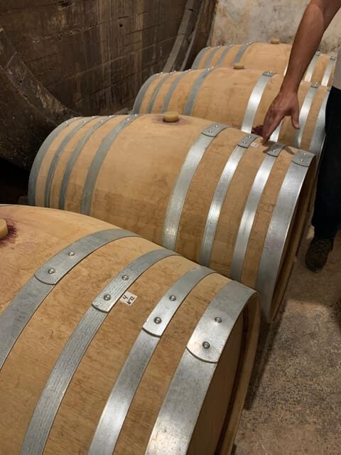 Private tour: Wine tasting, experience real Mallorca - Exploring the Details: What to Expect from the Tour  