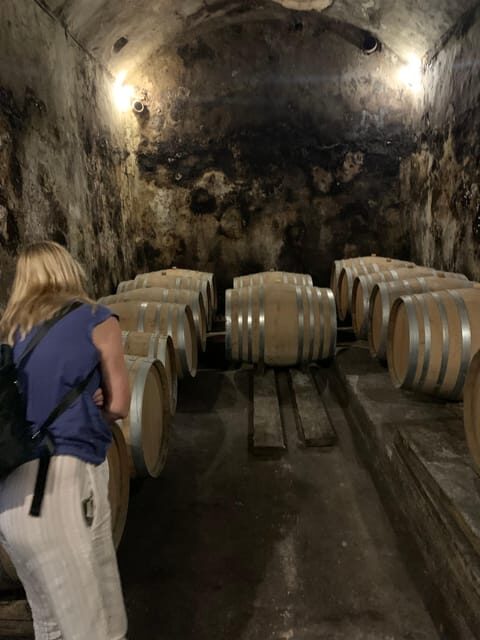 Private tour: Wine tasting, experience real Mallorca - The Bottom Line  