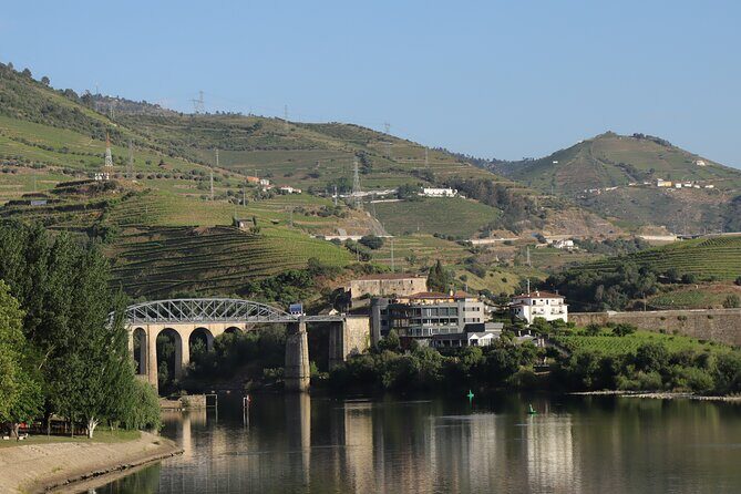 Private tour with 2 wineries and typical harmonized lunch - Exploring the Douro on a Private Day Tour