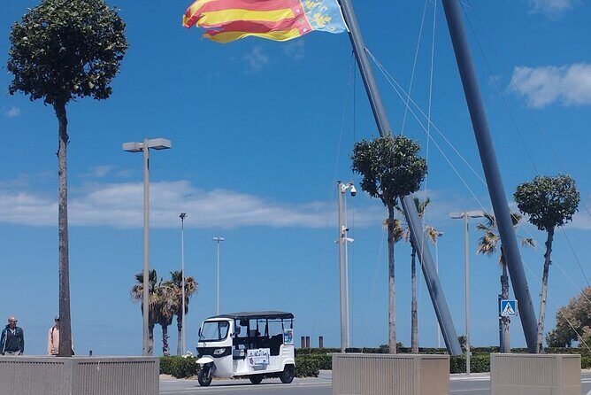Private Tour with Tuktuk in Valencia - Key Points
