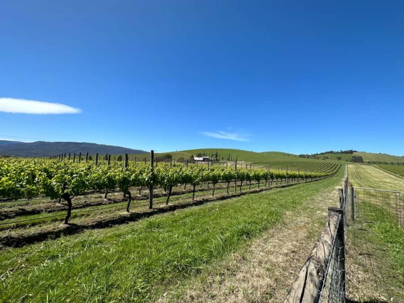 Private Tour: Yarra Valley Wine, Cheese, Gin & Chocolatrie - Practical Details and Considerations