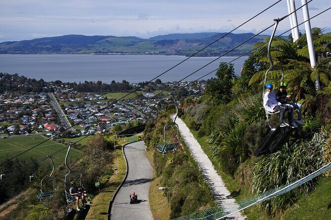 Private Tour Ziplining Forest Adventure from Rotorua - Key Points