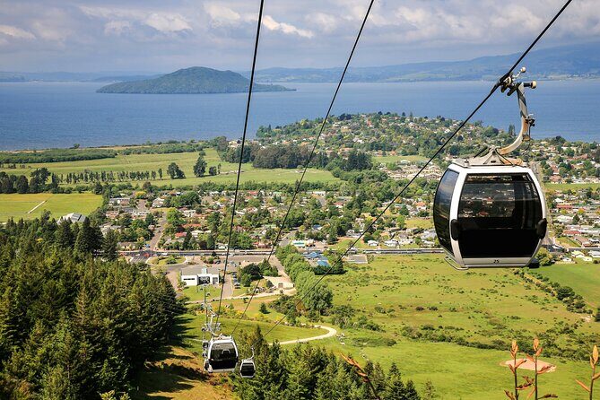 Private Tour Ziplining Forest Adventure from Rotorua - Discovering Rotorua’s Natural Charm