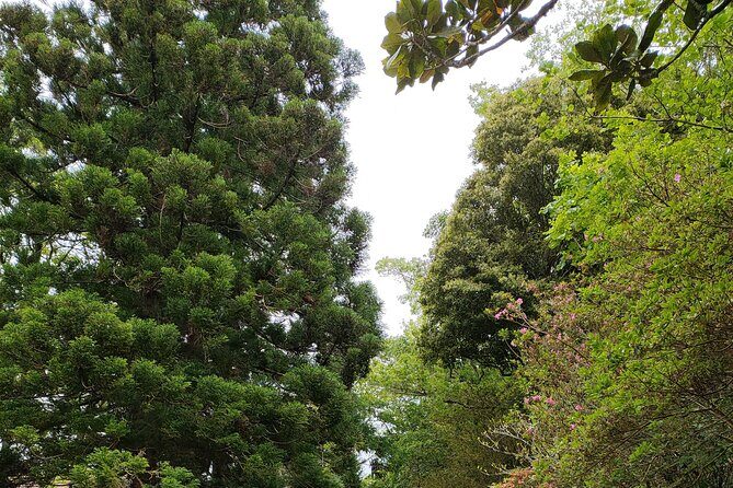 Private Tours Best spots (views) in So Miguel Island - In Summary: Is This Tour Worth It?