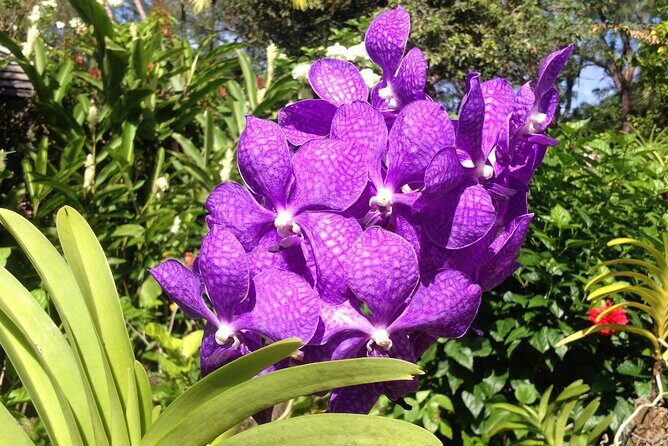 Private Tours - The Sum Up