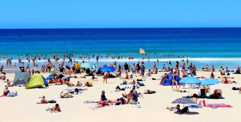 Private Tours: Full-Day Sydney City And Sightseeing Tour - Starting the Day: Seamless Pickup & Scenic Harbour Views