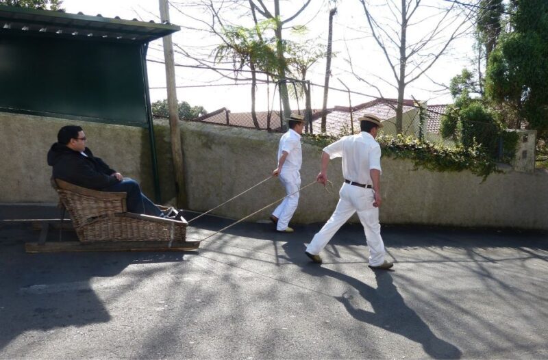 Private tour:Tuk Tuk Ride to Monte Funchal Toboggans - Key Points