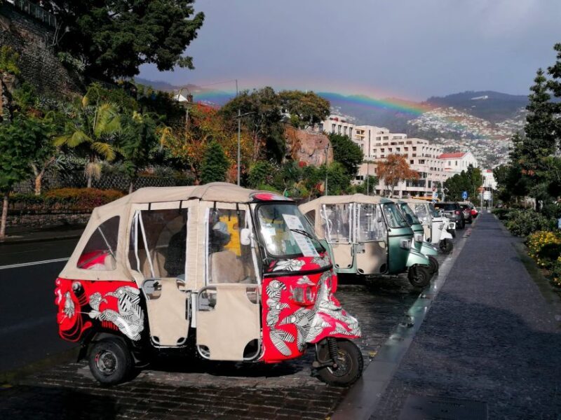 Private tour:Tuk Tuk Ride to Monte Funchal Toboggans - The Value and Practicalities