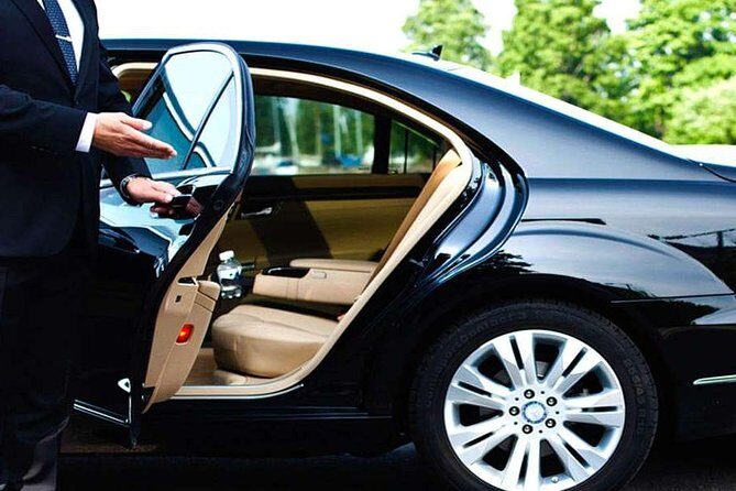 Private Transfer Between Rome Hotel and Civitavecchia Port or vv. - Who Is This Transfer Best For?