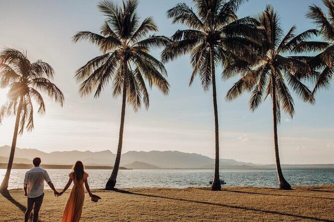 PRIVATE TRANSFER Cairns Airport Port Douglas Minibus (6am-5pm) - Key Points