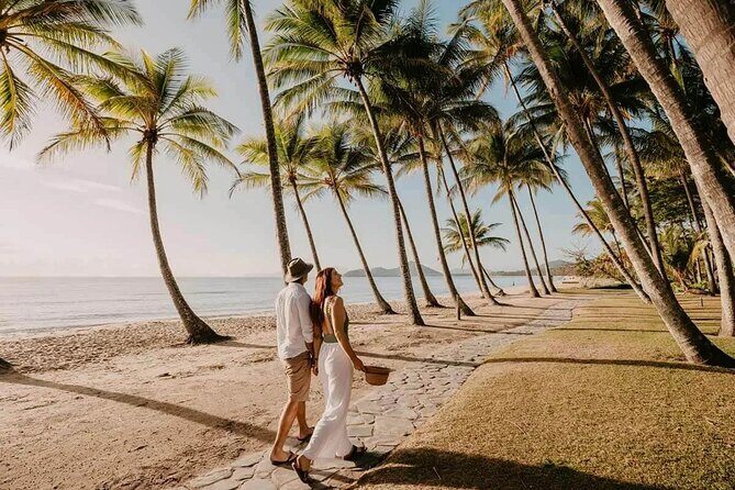 Private Transfer - Cairns Airport to/from Palm Cove - The Sum Up  