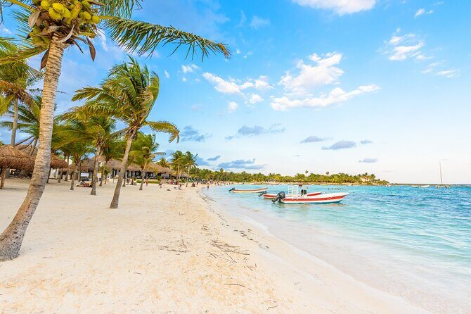 Private Transfer: Cancun Airport CUN to Akumal in SUV - Additional Insights from User Experiences