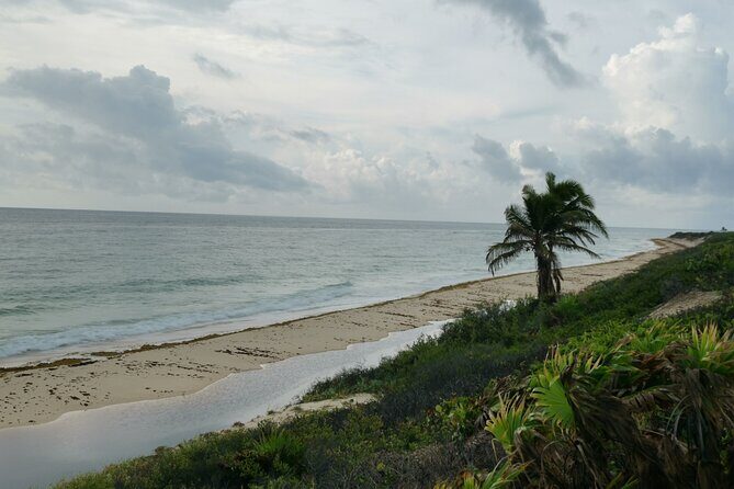 Private Transfer-Cancun Airport-Playa del Carmen One Way - FAQs