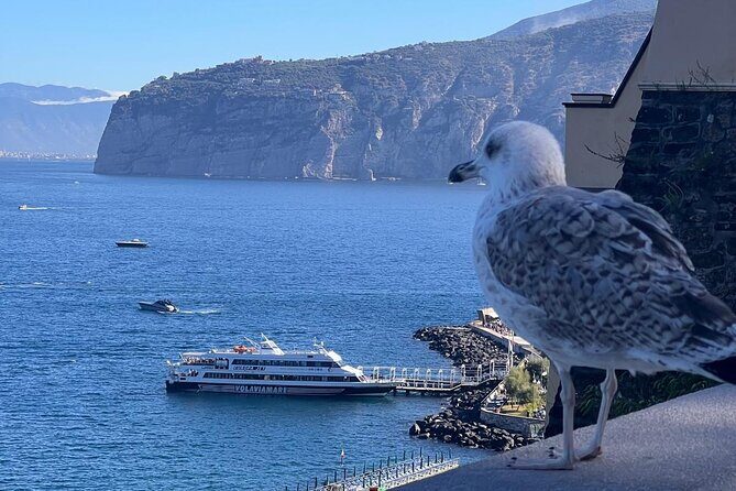 private transfer DA Naples to Sorrento and vice versa - A Closer Look at the Transfer Experience  