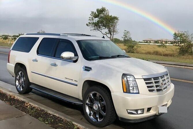 Private Transfer from Adelaide city to Adelaide Cruise Port - Who Should Consider This Service?  