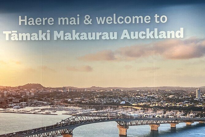 Private Transfer From Auckland Airport To Cambridge - A Closer Look at the Experience