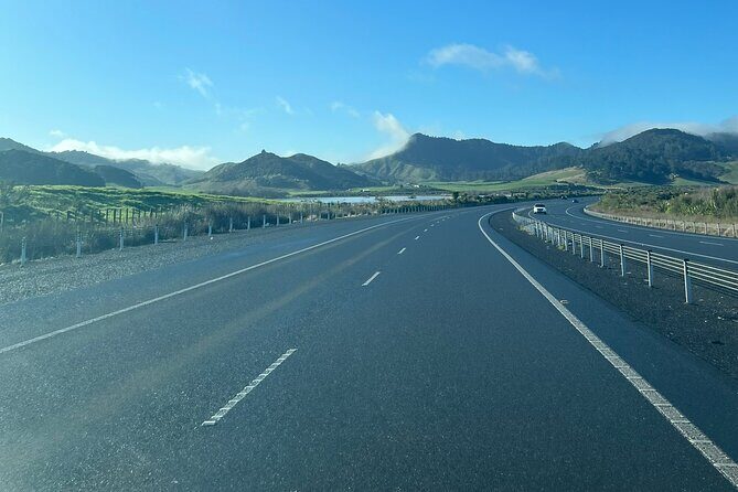 Private Transfer From Auckland Airport To Hamilton - A Closer Look at the Private Transfer Experience